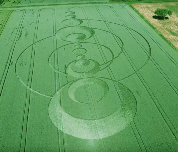 Que sont les Crops Circles ? Significations et exemples