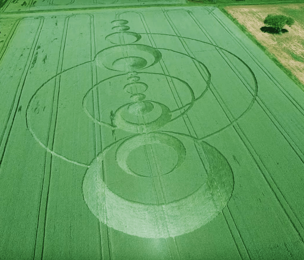 Que sont les Crops Circles ? Significations et exemples