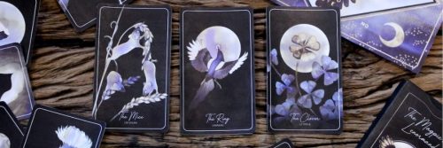 Voir ou entendre une Pie : les significations spirituelles