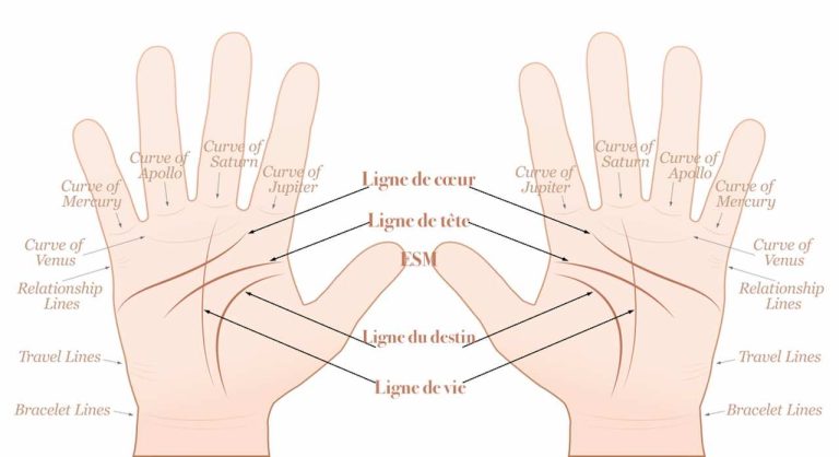 Comment lire les lignes de la main
